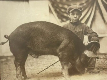 Heritage Duroc Bacon (3 Packs) – Gastros Craft Meats